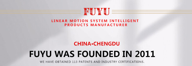 High Precision Ball Screw Linear Motion Guide - Fuyu Technology Co., Ltd.