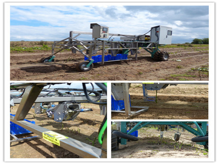 Linear Motion Guide, Linear Axis Robotic Arm, Cartesian Robot ...